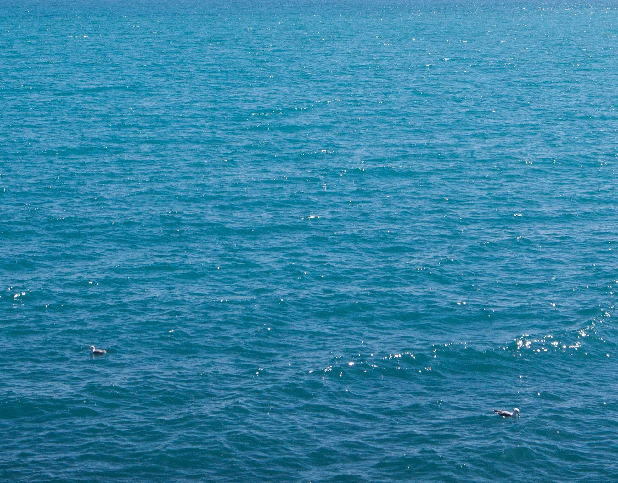 Sebastian Jacobsen - Photography