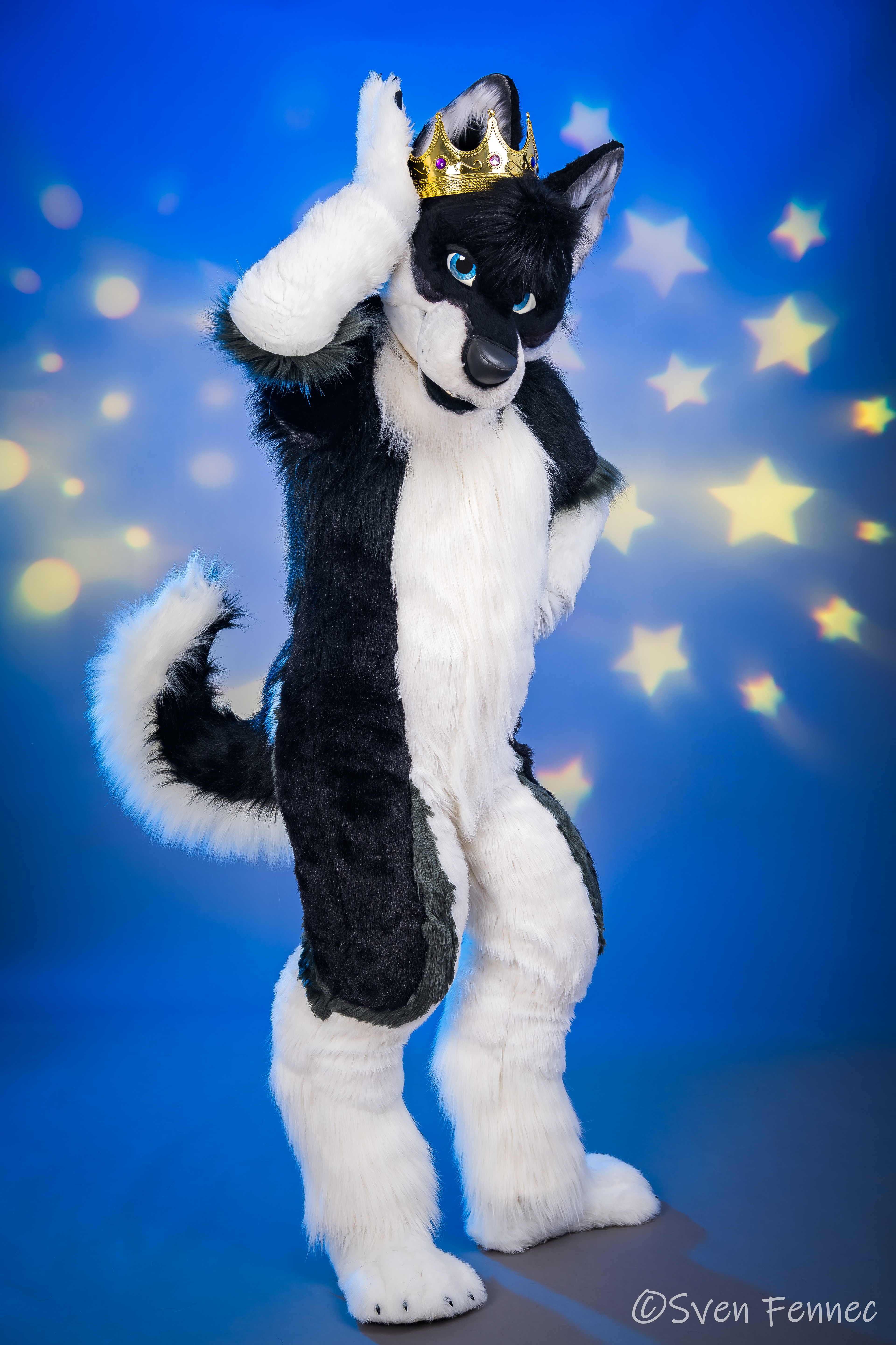 Sven Fennec Photography - 2018-2020 Studio Fursuit Portraits