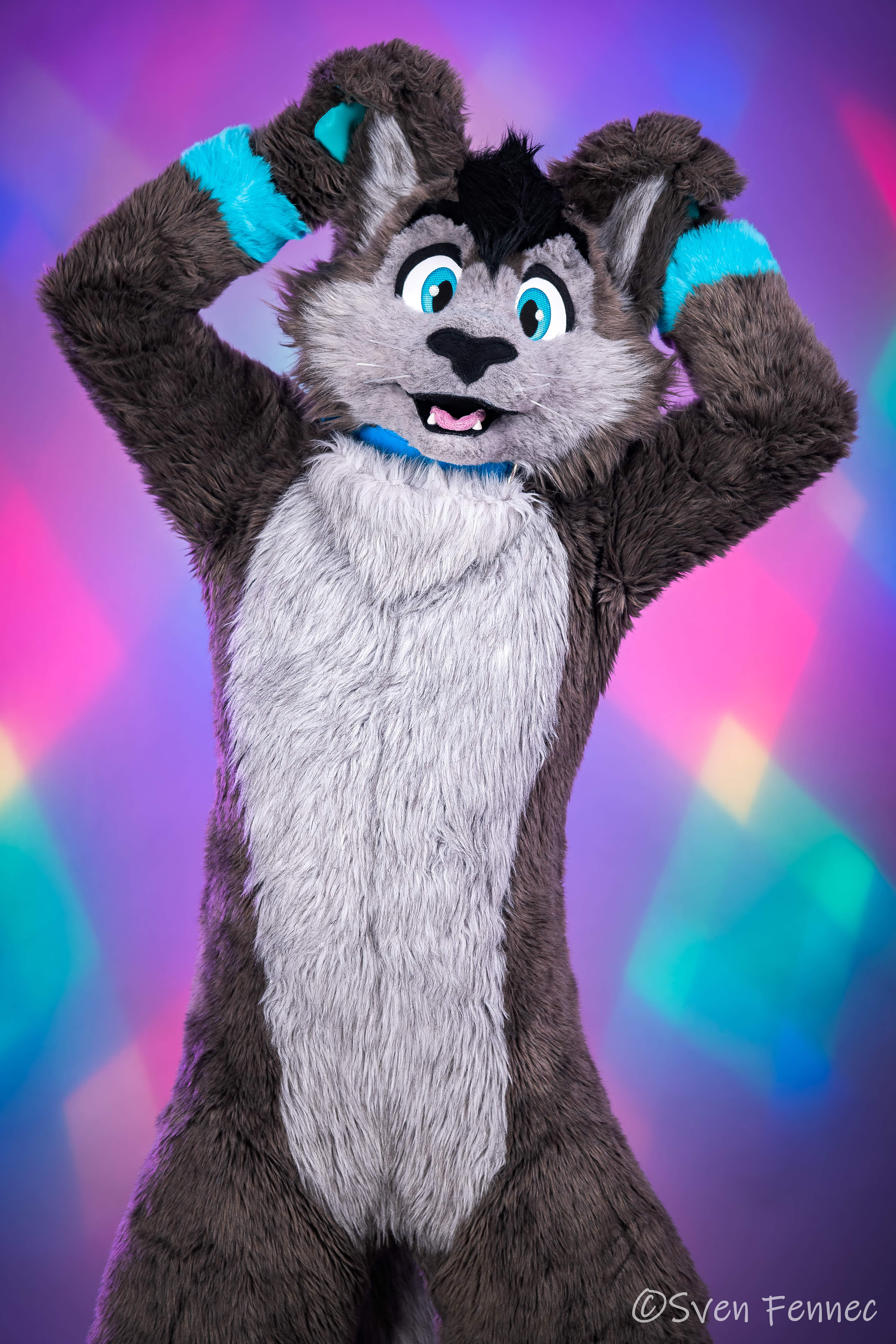 Sven Fennec Photography - 2018-2020 Studio Fursuit Portraits