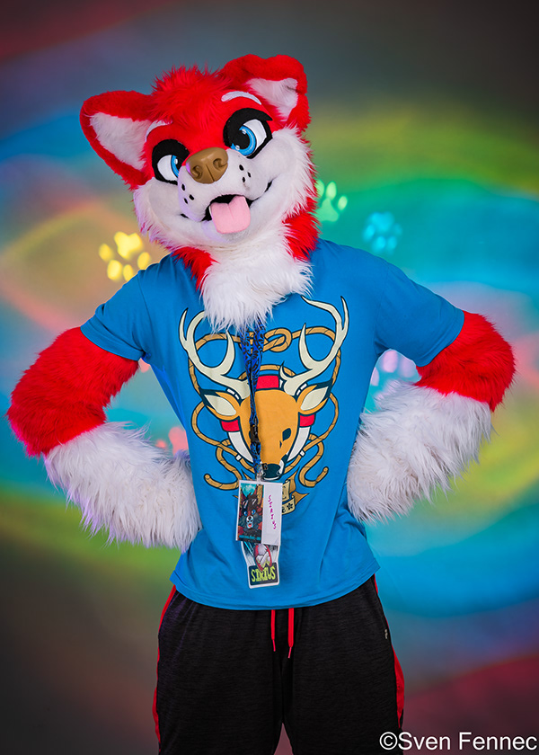 Sven Fennec Photography - 2018-2020 Studio Fursuit Portraits