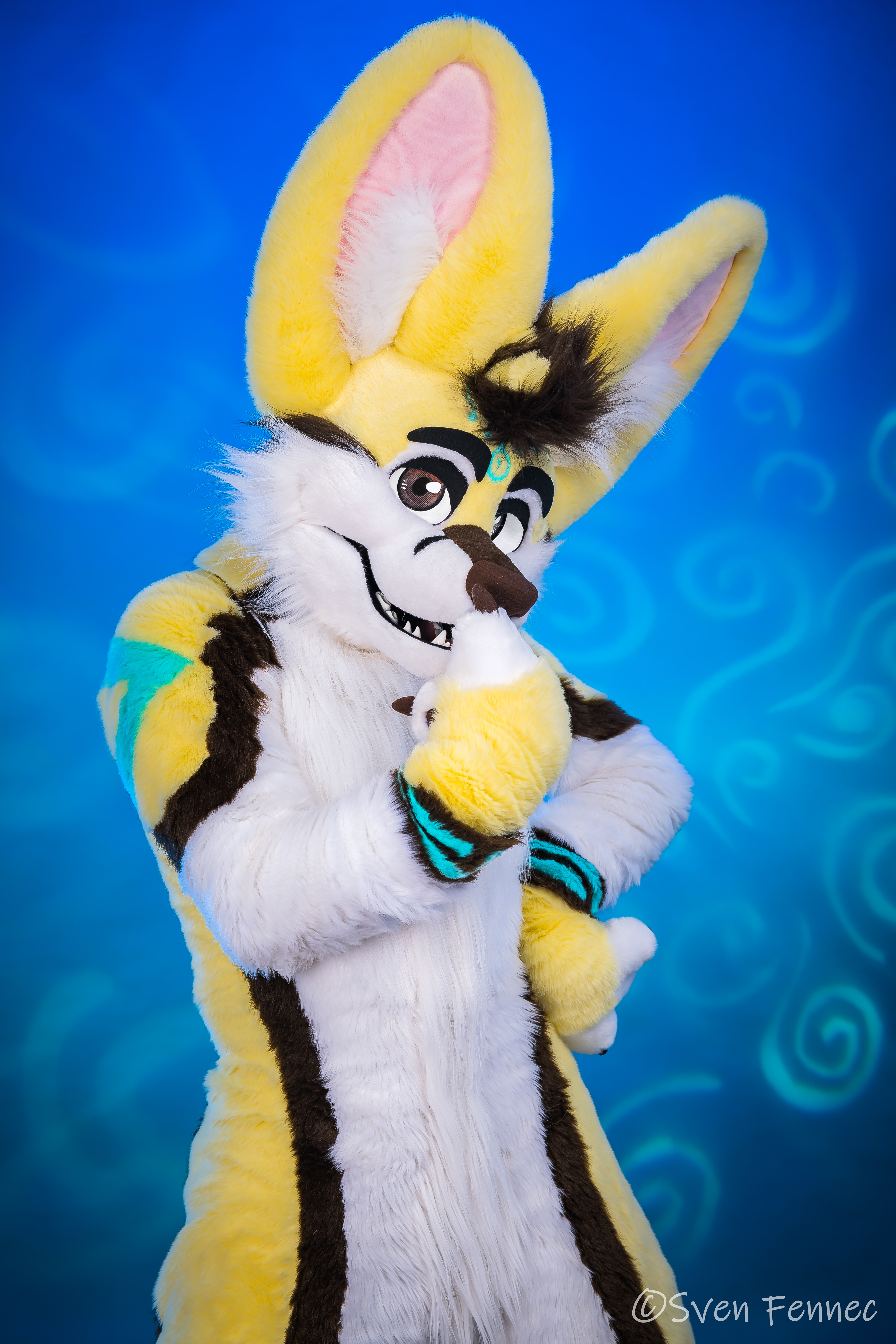 Sven Fennec Photography - 2018-2020 Studio Fursuit Portraits