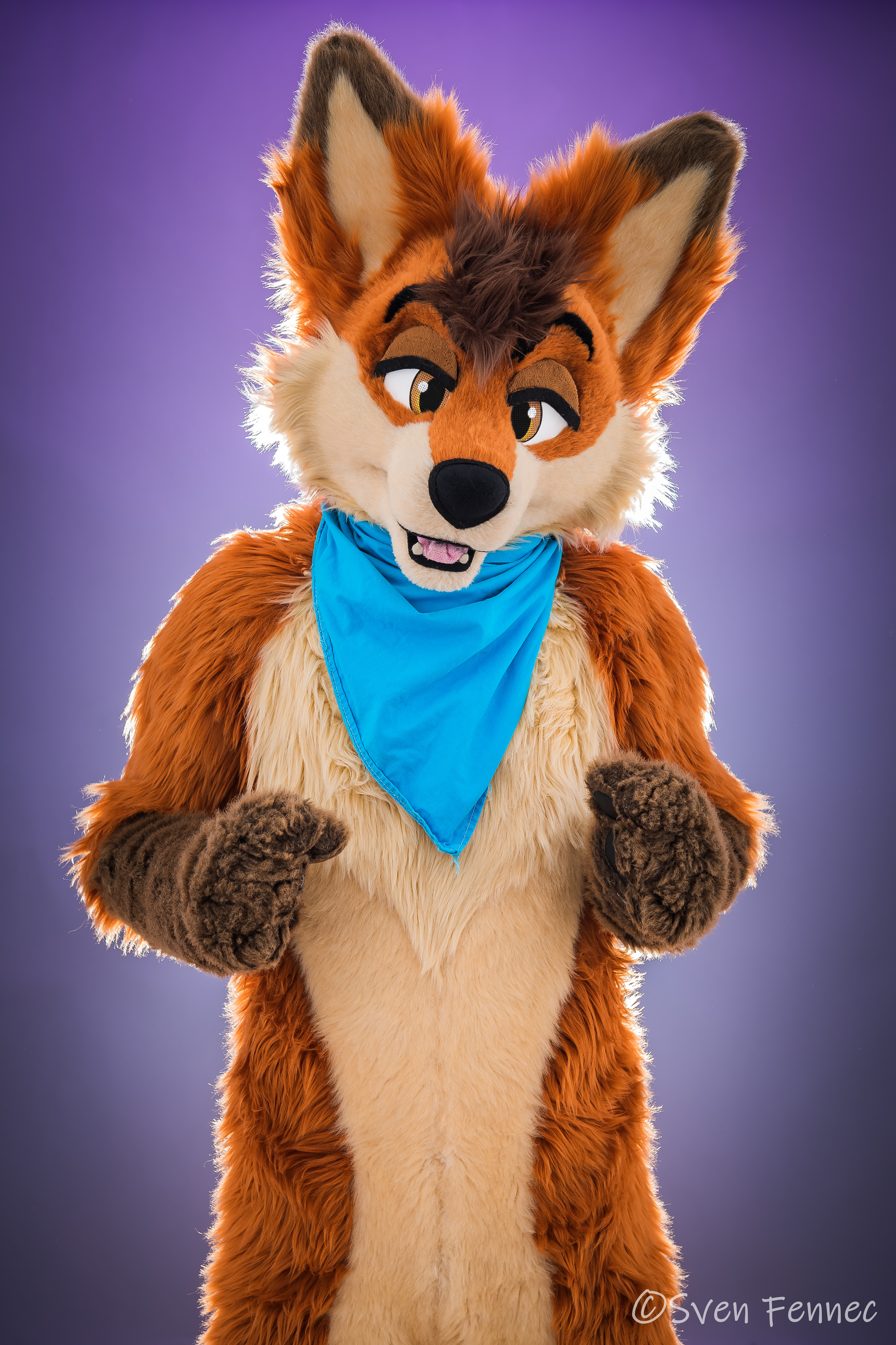 Sven Fennec Photography - 2018-2020 Studio Fursuit Portraits