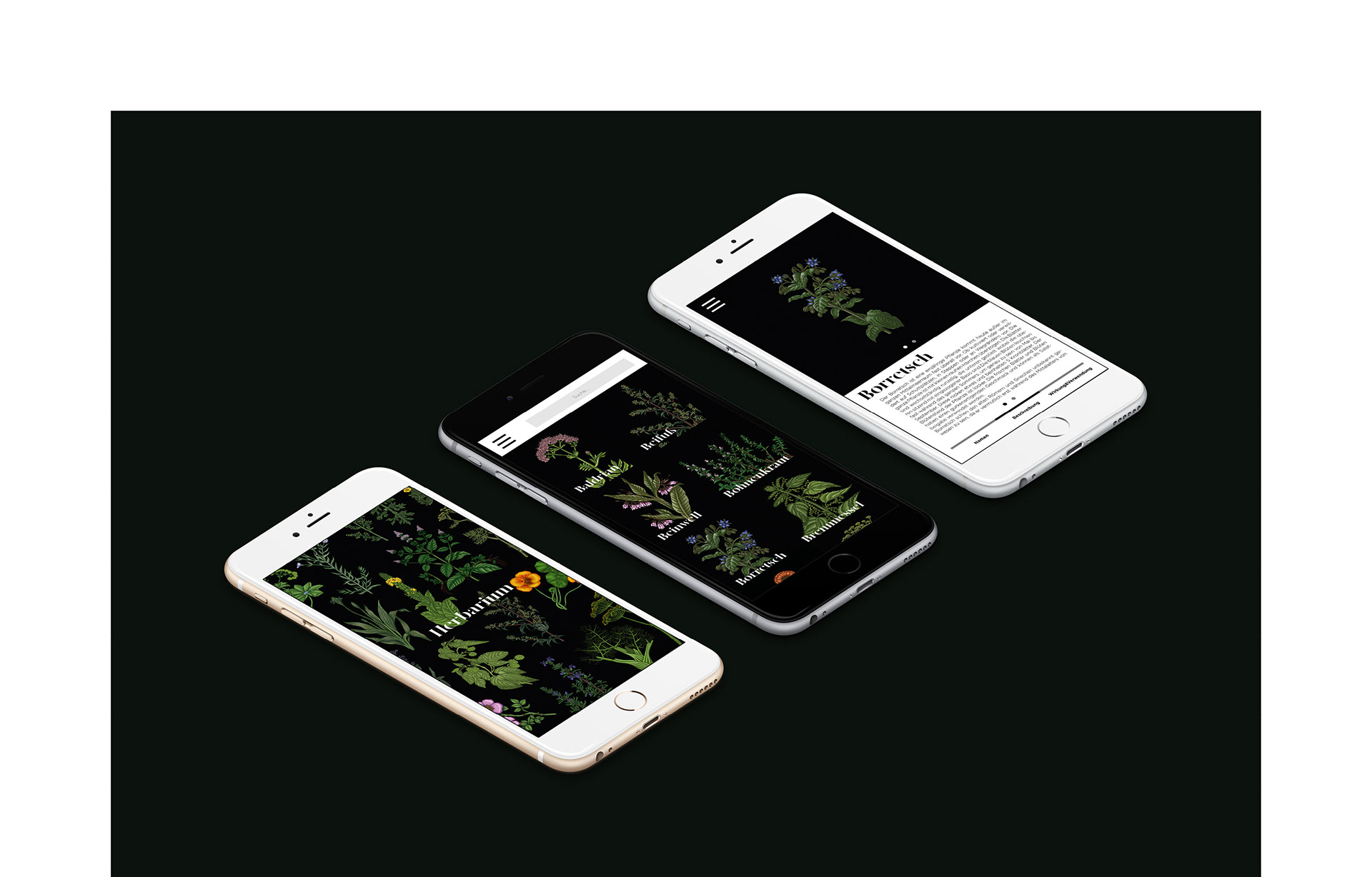 Cathy Thill - HERBARIUM