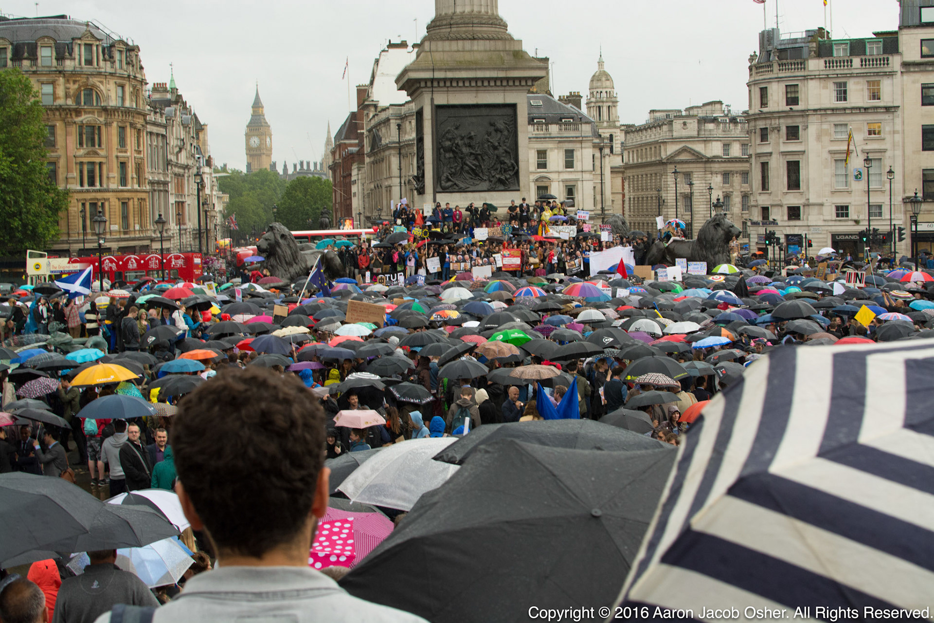 Aaron Osher - London Stays Protest