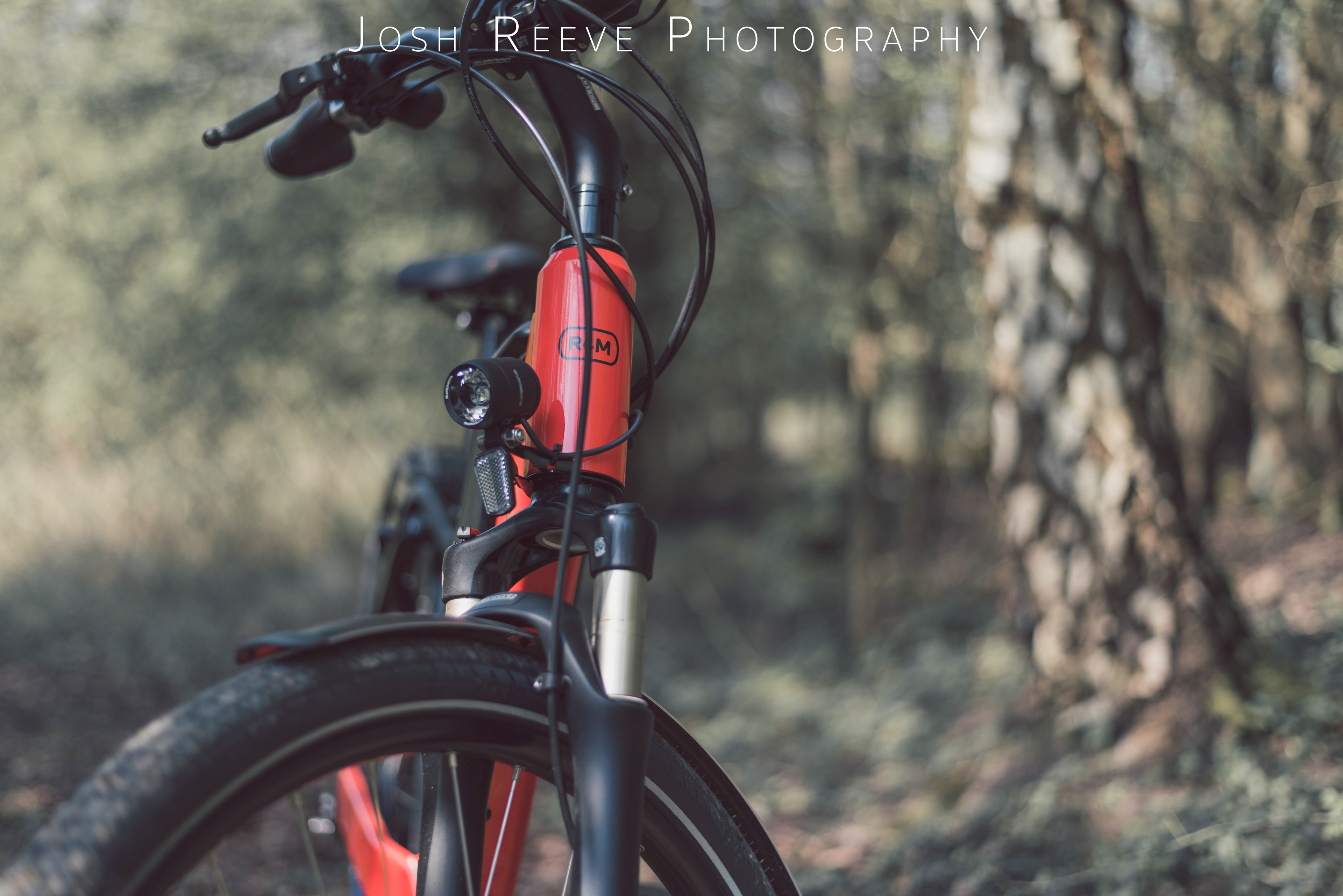 Josh Reeve Photography - National Forest E Bike Holidays