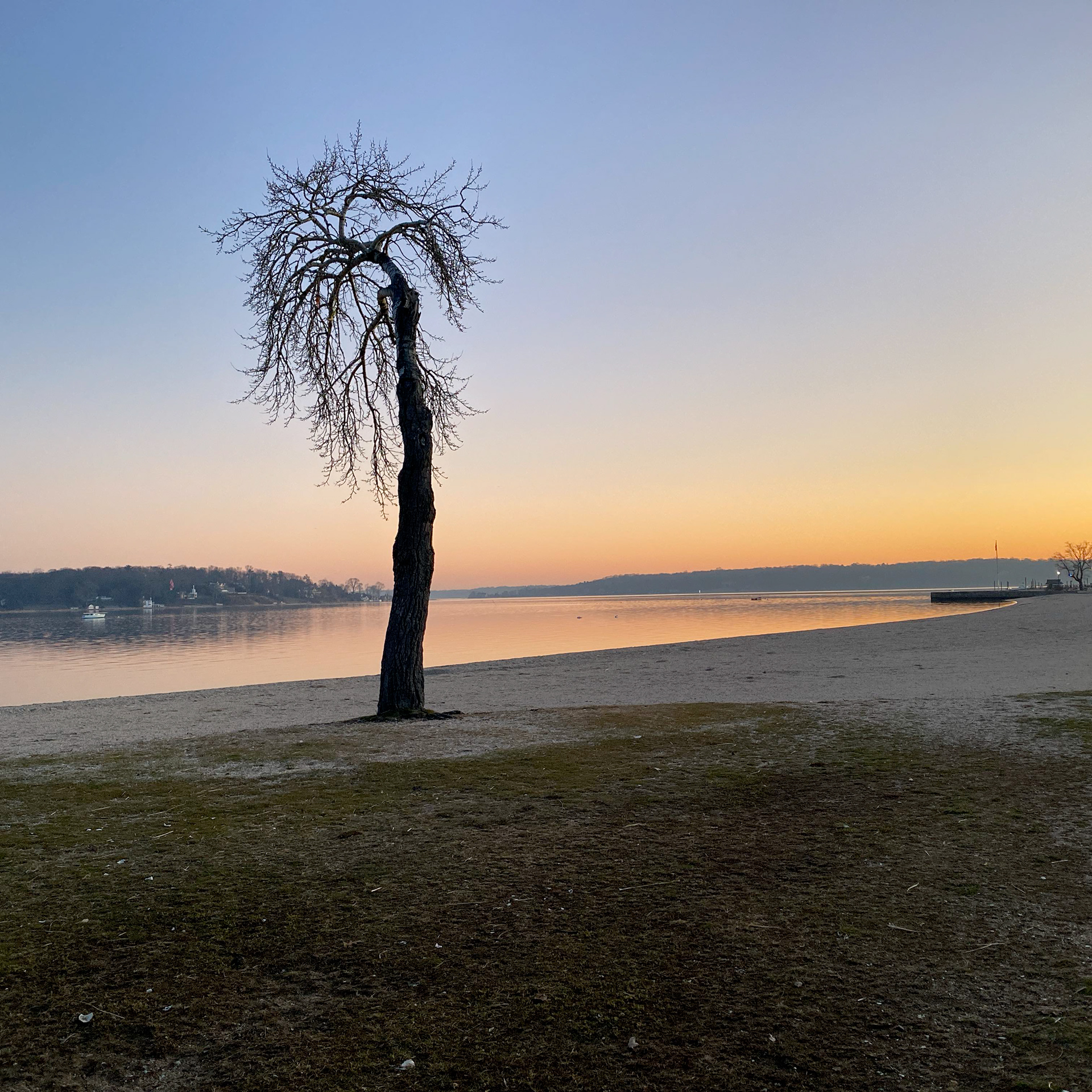 heatherwilson.photography - Sad Tree