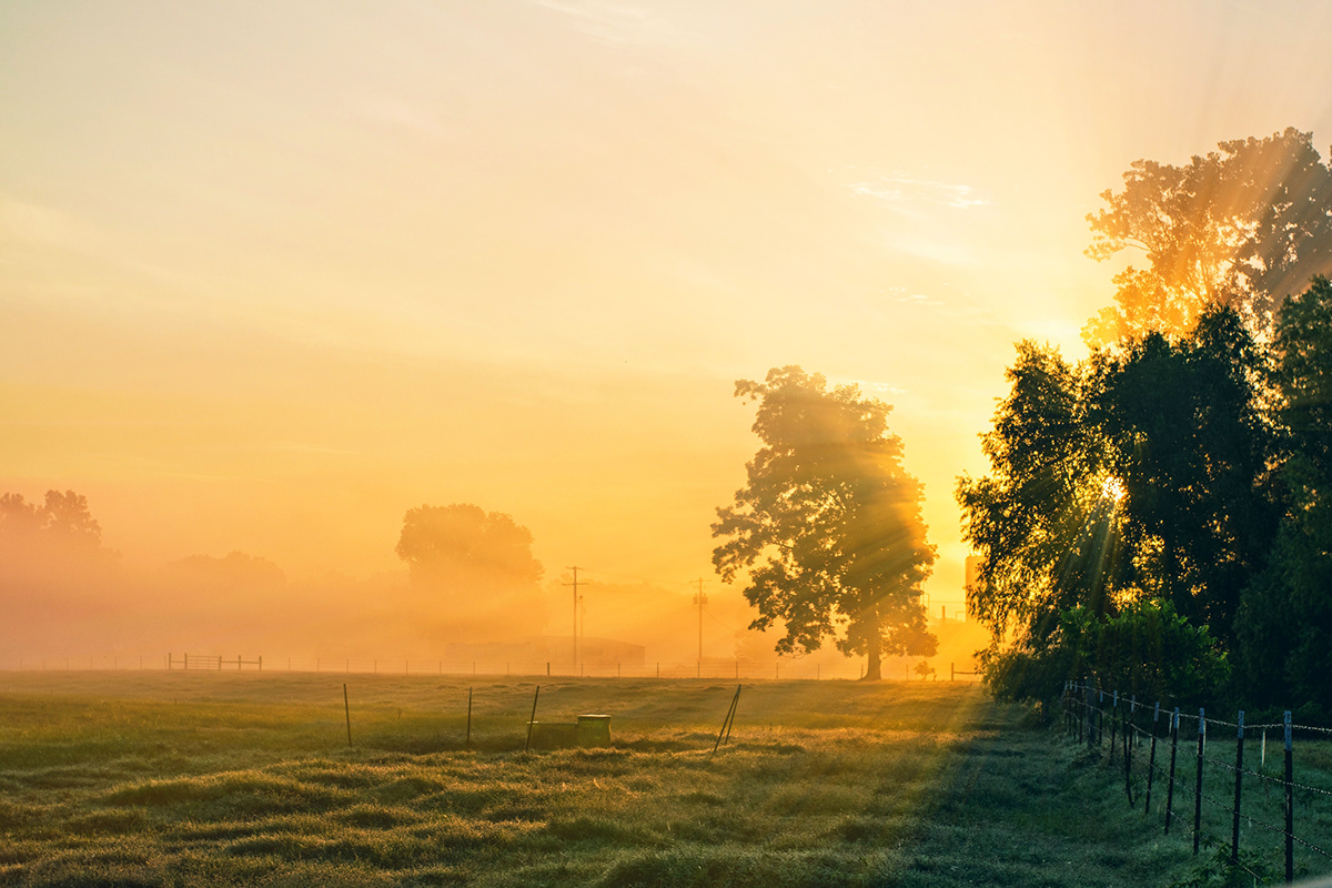 Meetjosue - Chasing Light