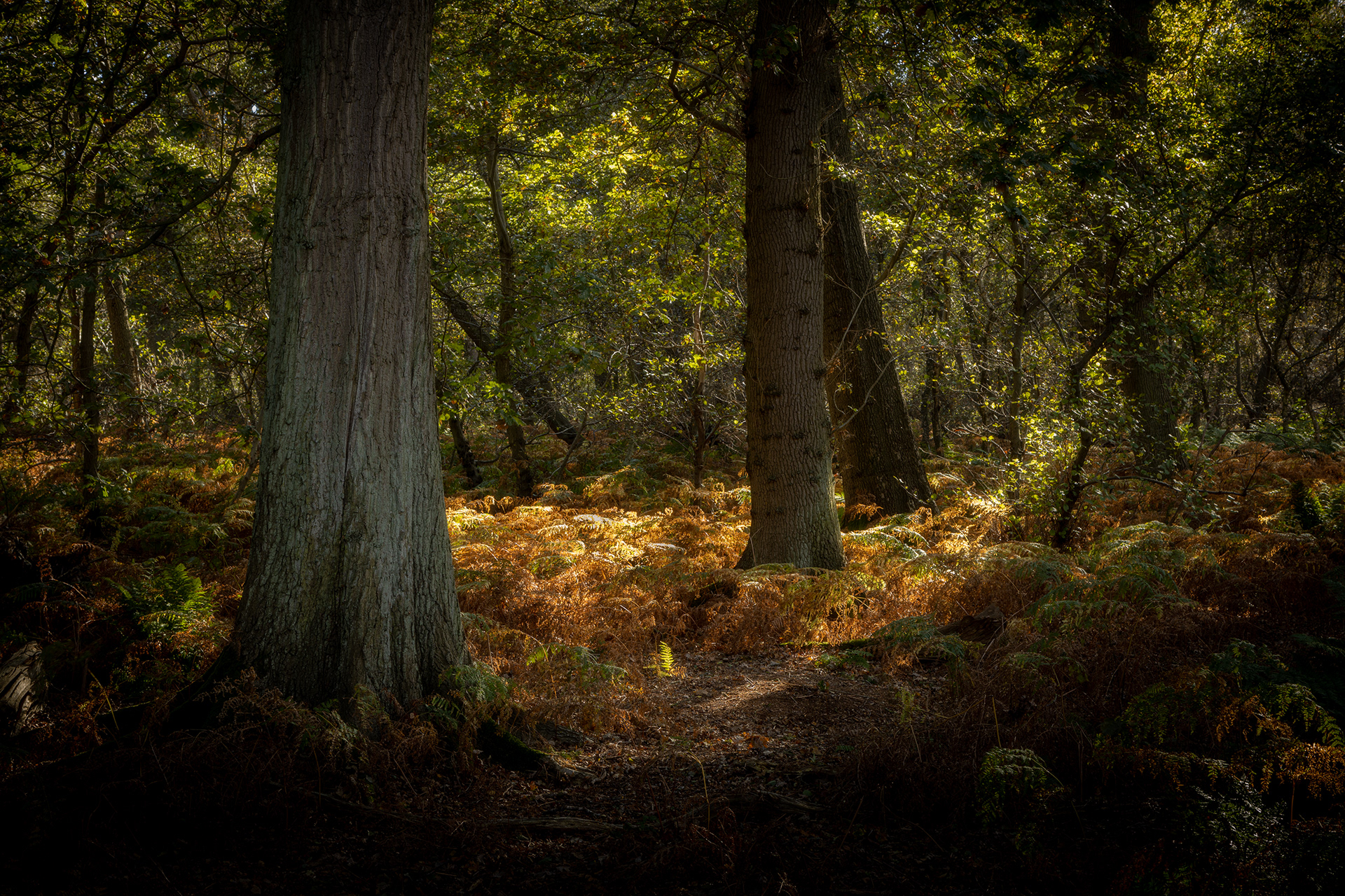 Stuart Rouse Landscape & Aviation Photography