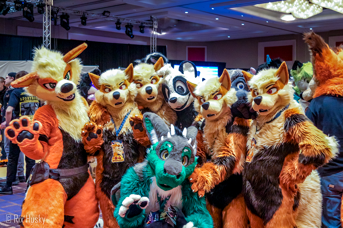 Rix Husky Photography - Midwest FurFest 2019