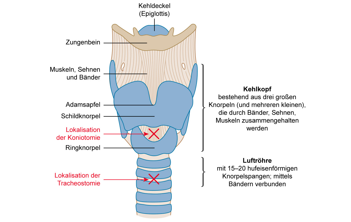 Stefan Dangl - Pflegeguide