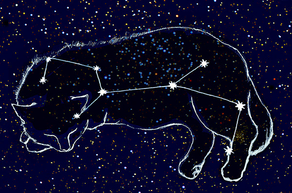 Deborah Sacks - Felis Constellation