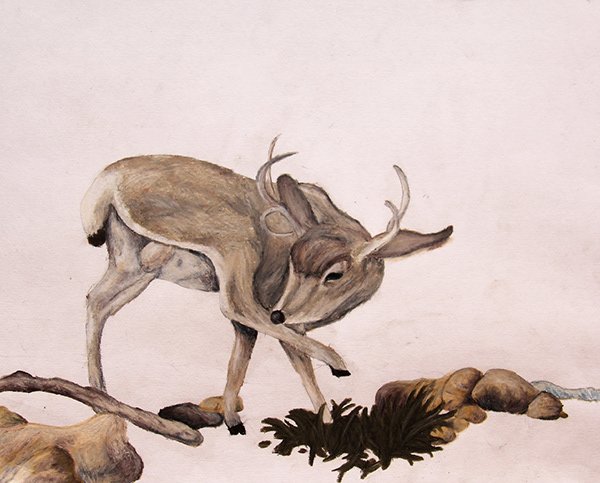 Ed Lax - GCSE Fine Art Animals
