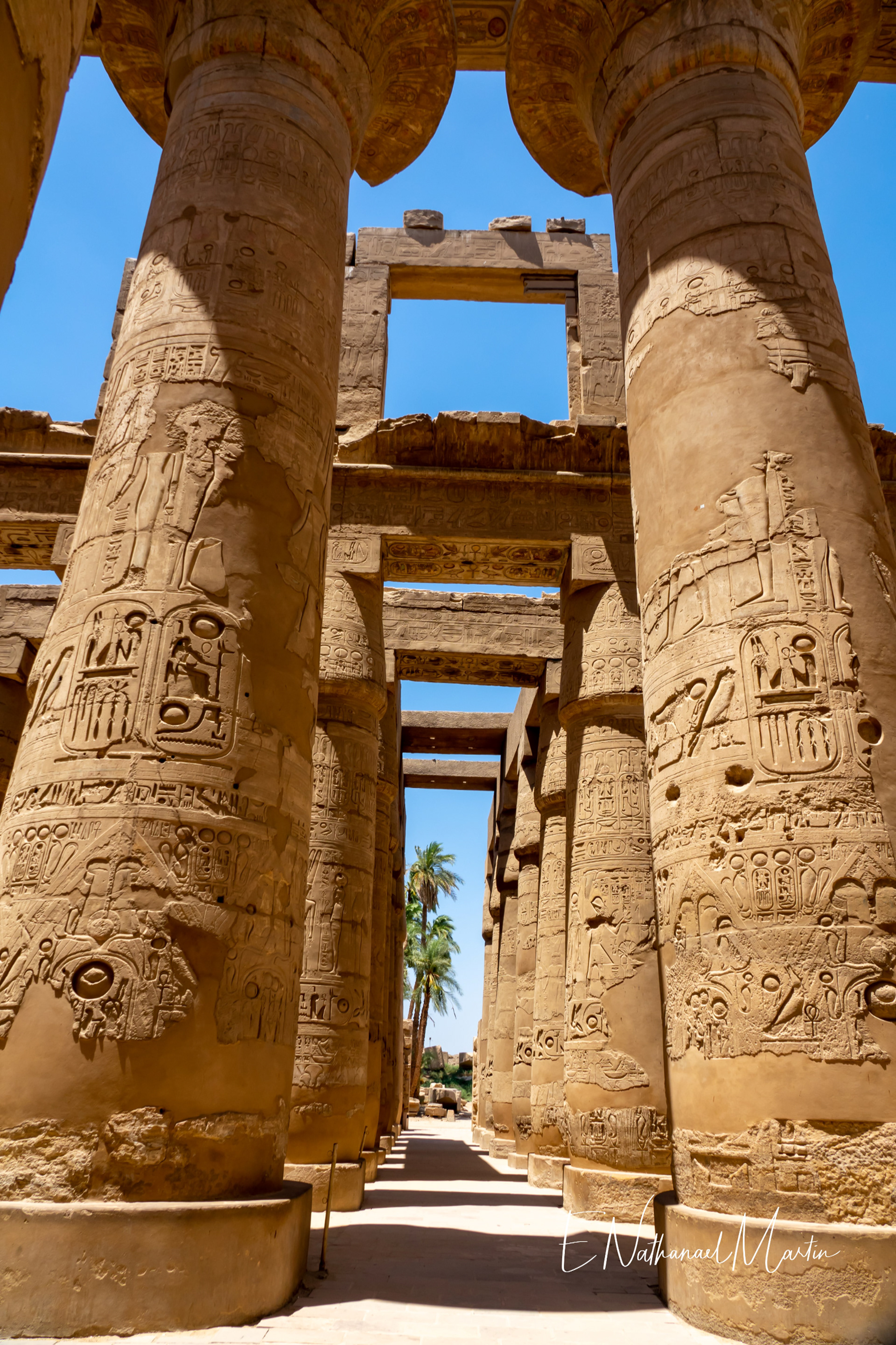 Nature by Nat Photography - Egypt