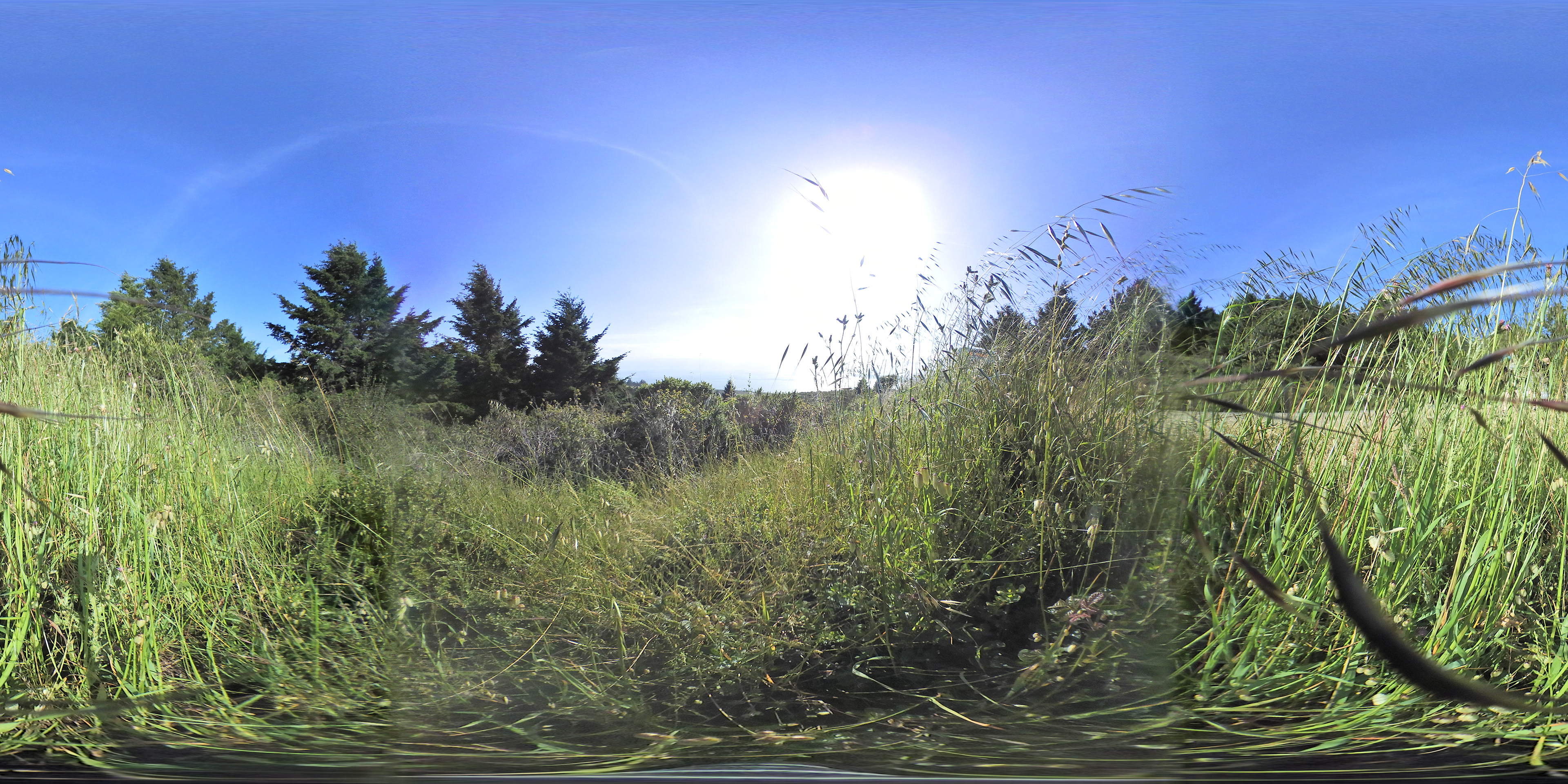 Stephen Studyvin - HDR Environments & Panoramas