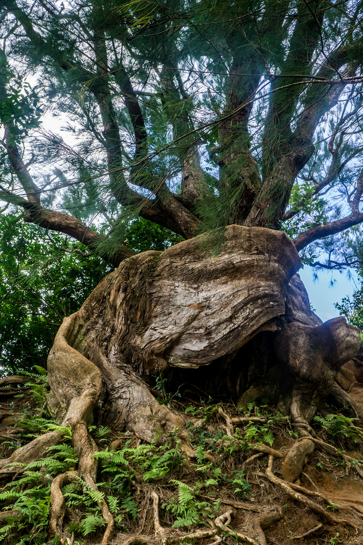 Alan G. B. Kim, Jr. - COMPILATION