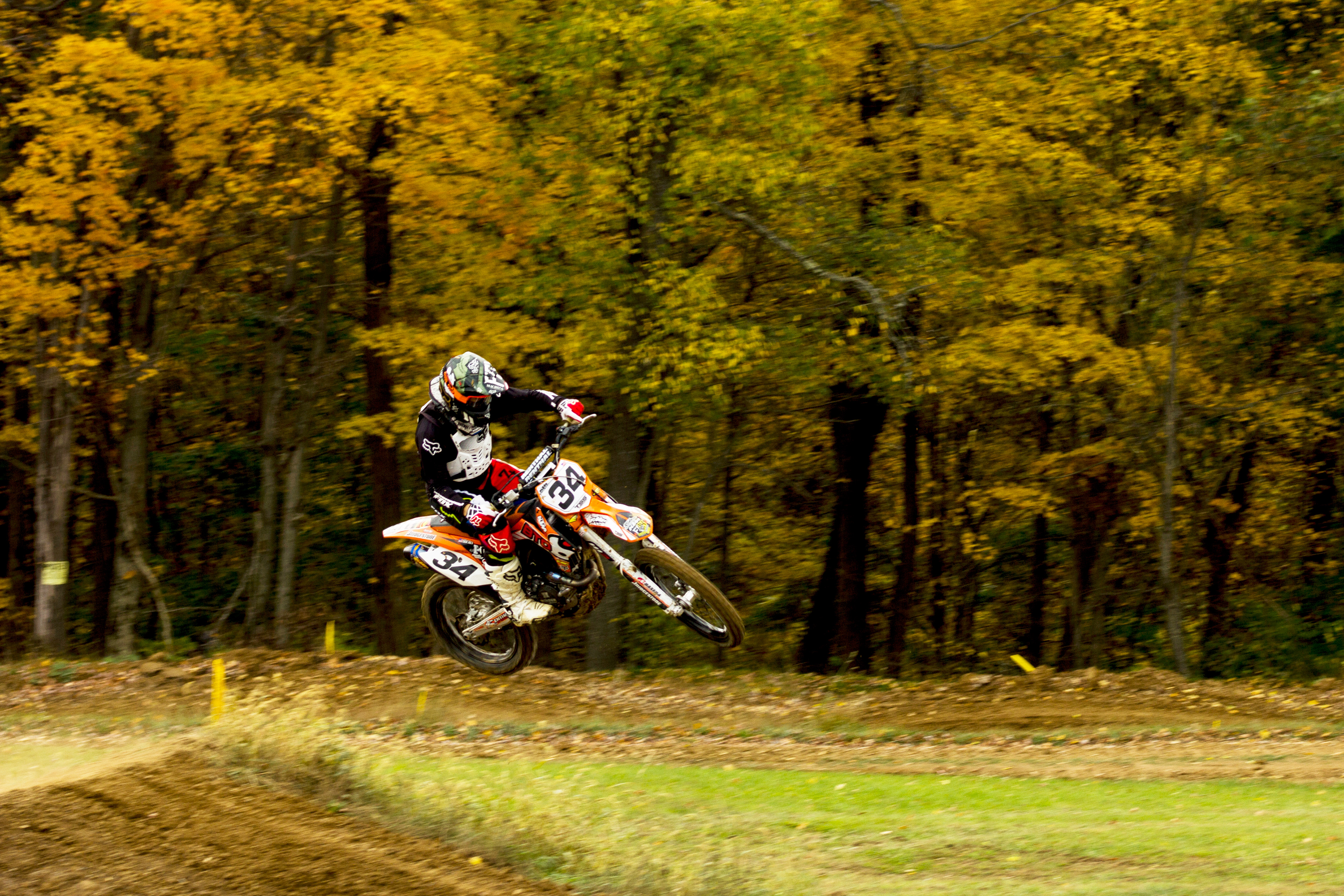 Shane D. Humphreys - Sports