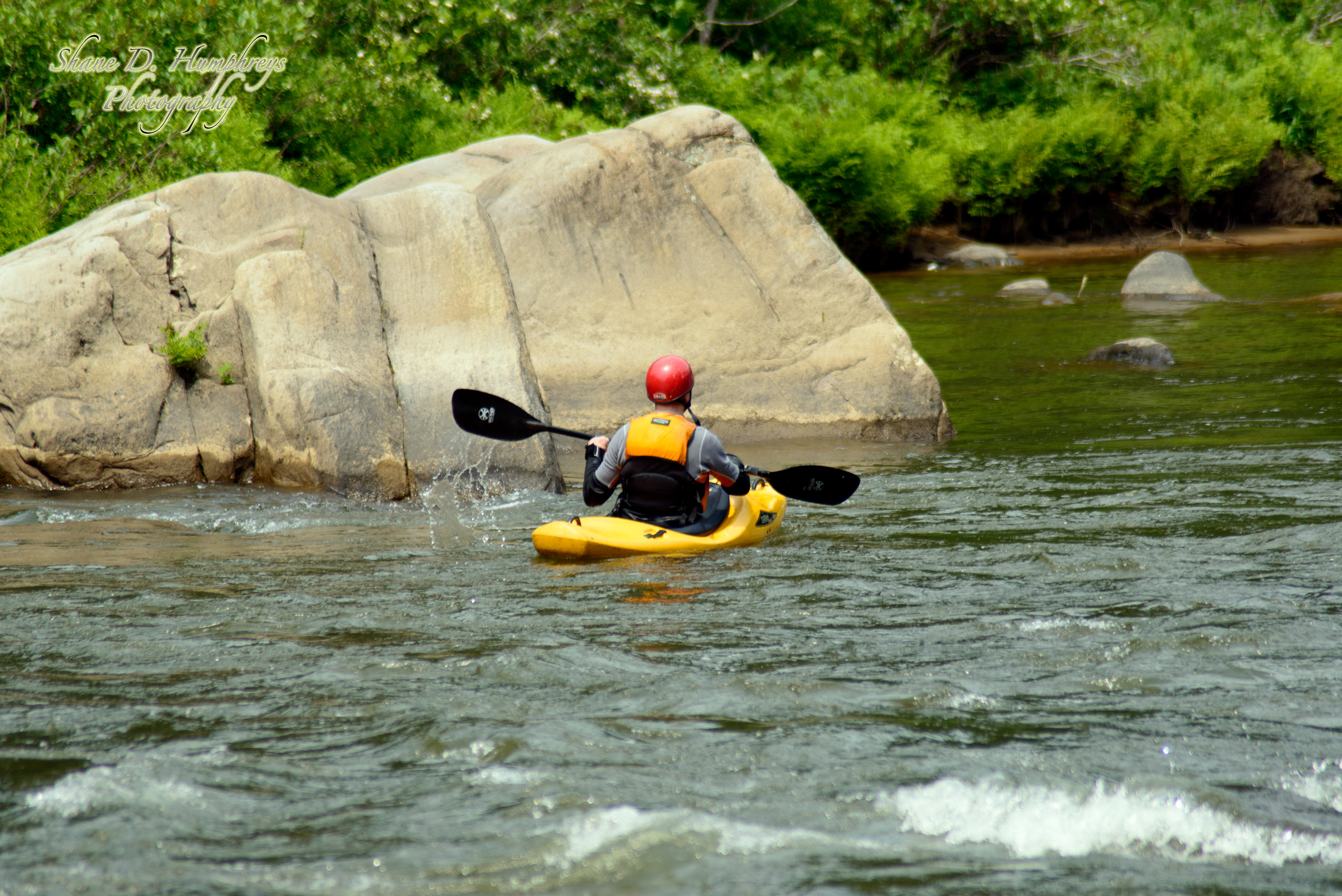 Shane D. Humphreys - Sports