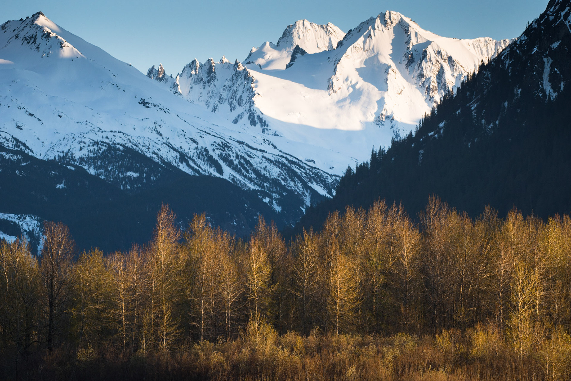 Ian Johnson - Landscapes