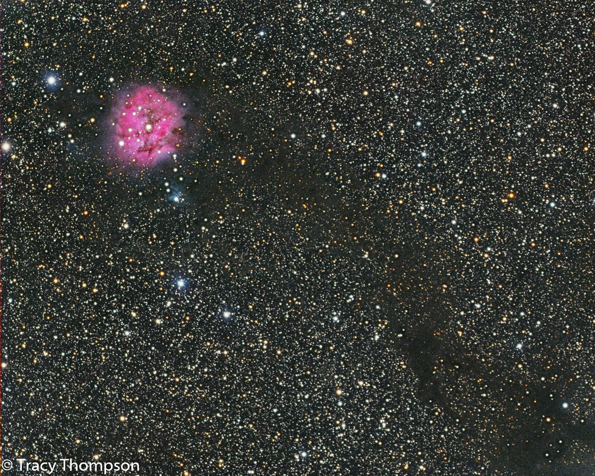 Tracy Thompson - Reflection Nebulas