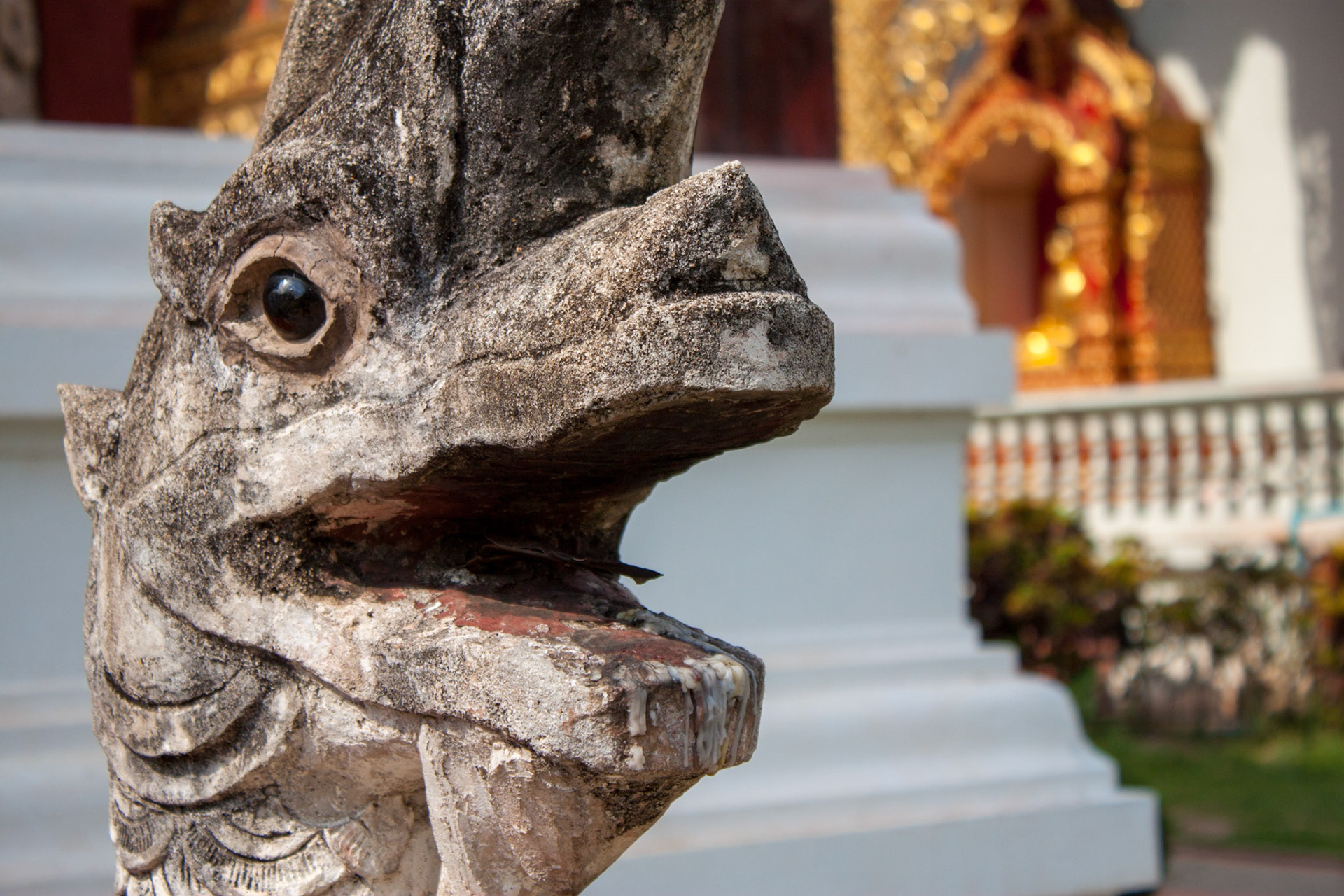 AJ Angus - Vietnam & Thailand