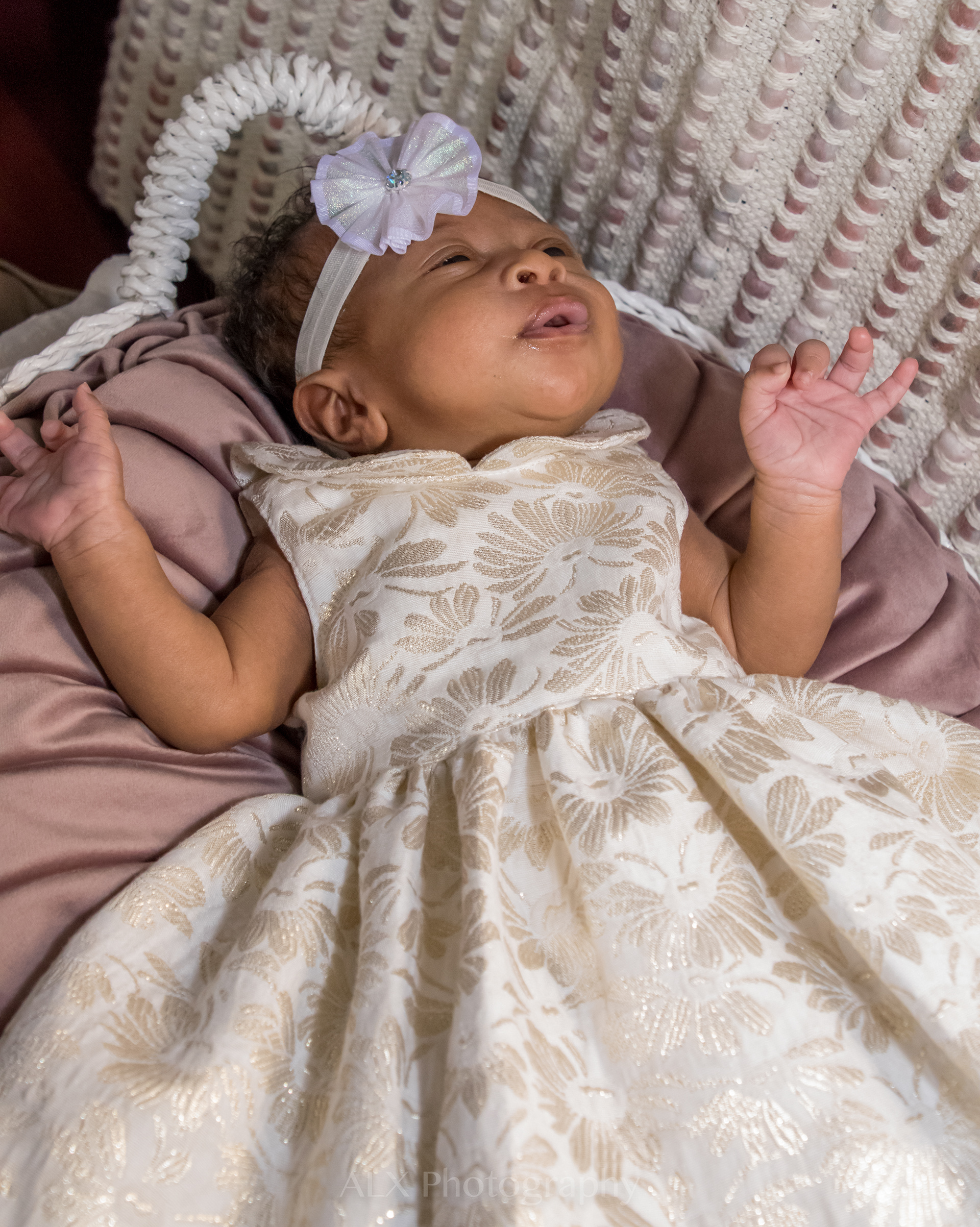 Alexis McIntosh - Baby Malaya