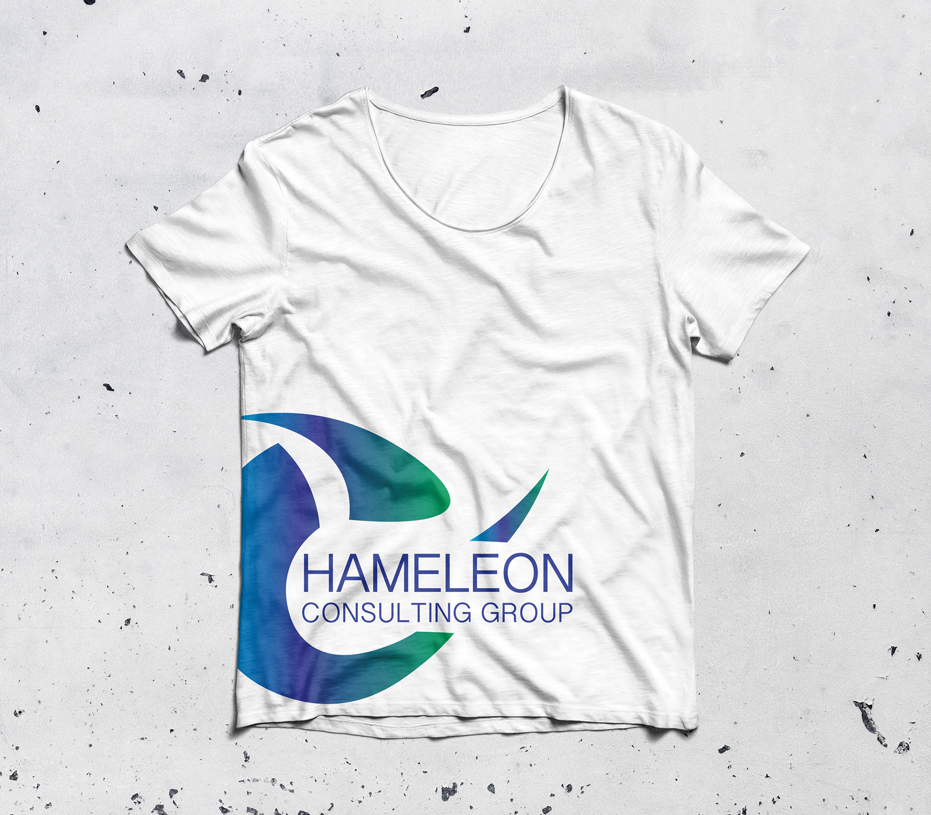 Amber Breeden - Chameleon Consulting Group Logos