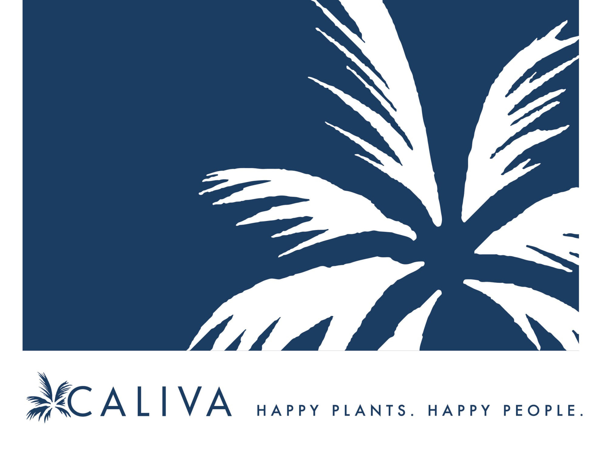 Jherell Rabanal - Caliva